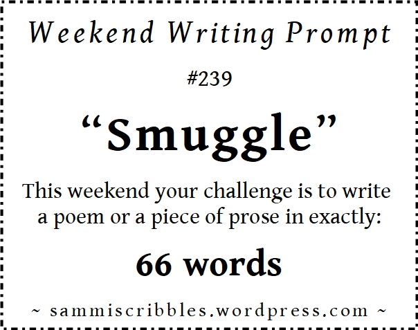 Sammi’s Weekender #239 (smuggle) – Our Literary Journey